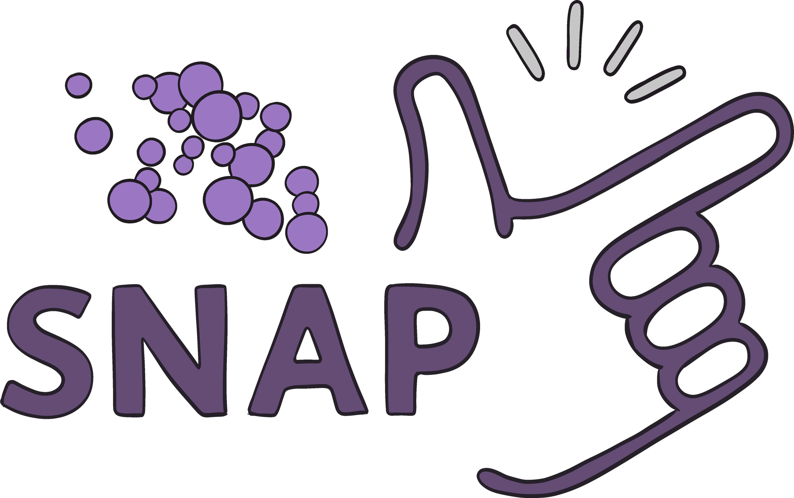 SNAP Resources – Cultural Information Hub
