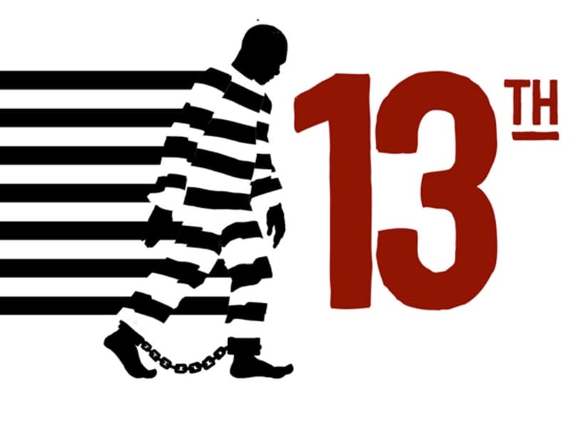 Movie Analysis: 13th