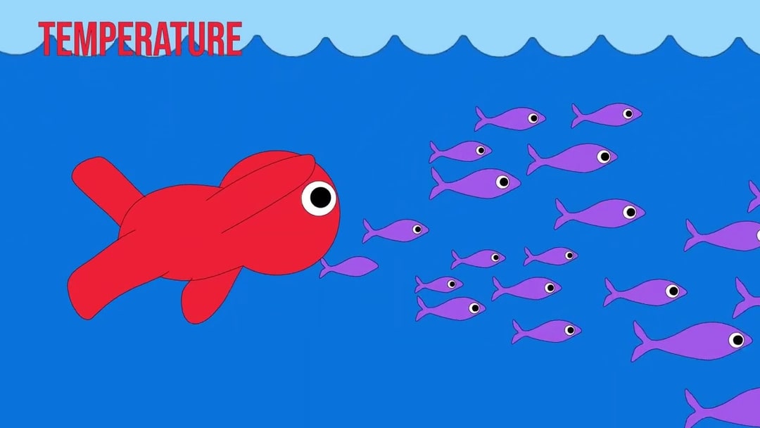 DBT Distress Tolerance Skills Videos