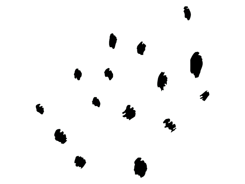 How To Process And Obtain a Form M Document