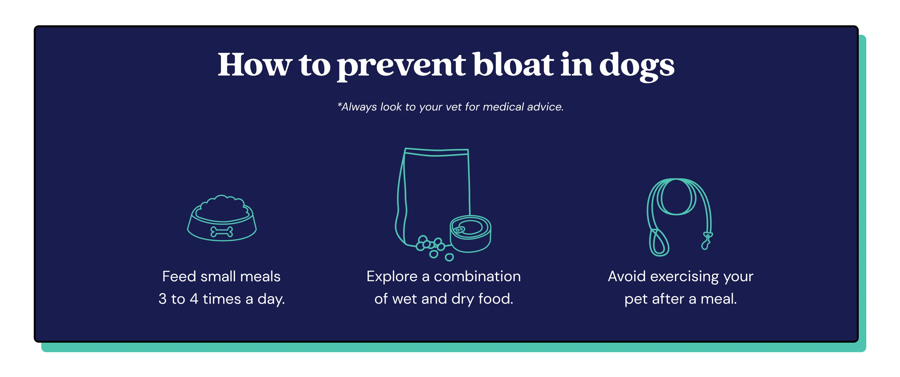 Bloat in dogs: causes, symptoms and prevention