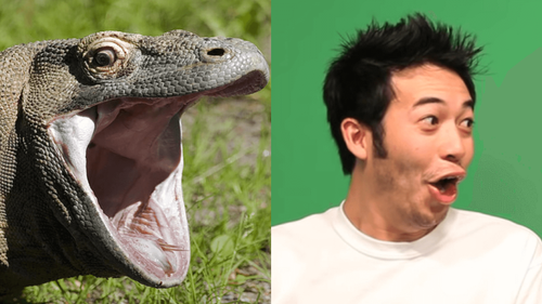 What does POG mean on Twitch?