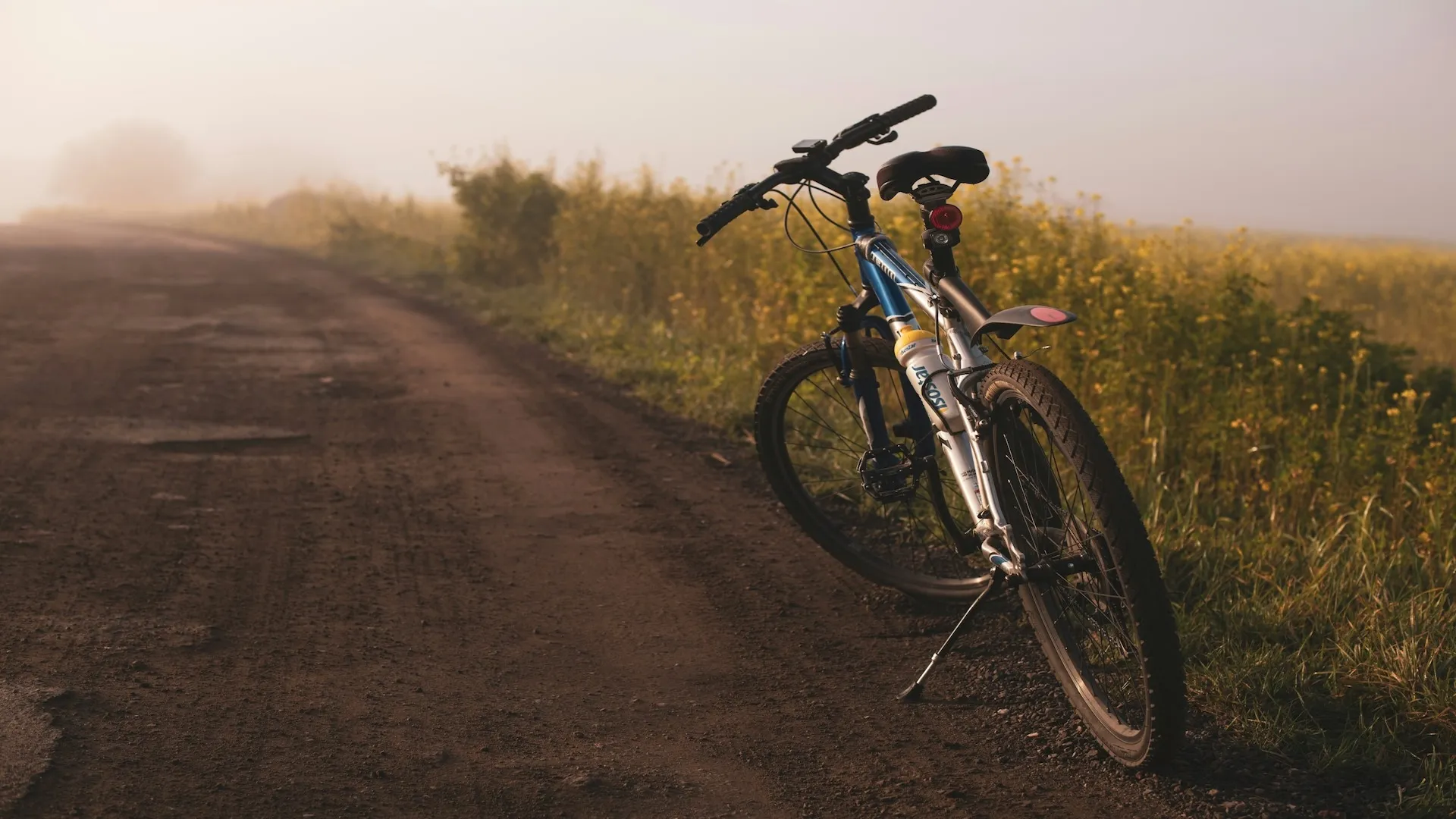 Understanding Bicycle Accidents in Los Angeles: How a Los Angeles ...