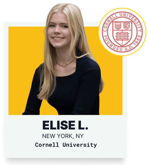 Curious Cardinals | Mentoring, Tutoring & Experiential Learning for Kids