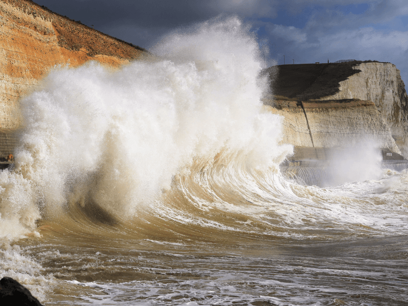 What Is Loss And Damage