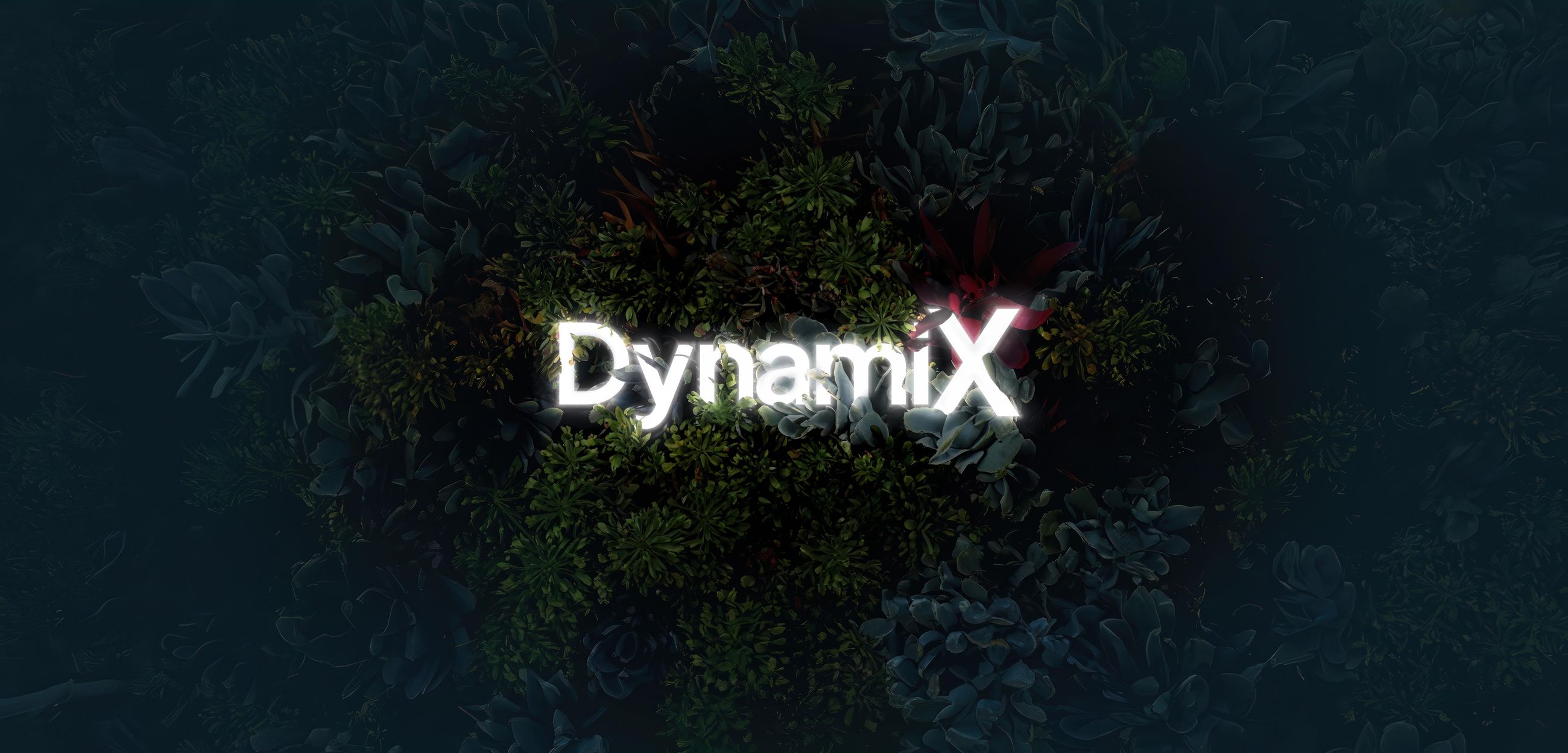 DynamiX | Novon
