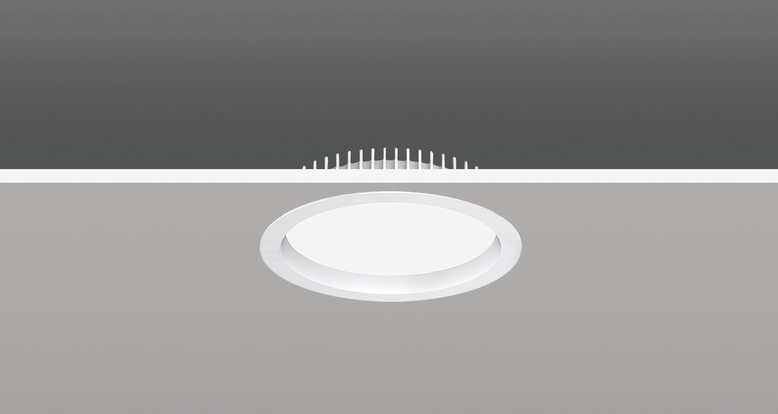 Newton | Novon