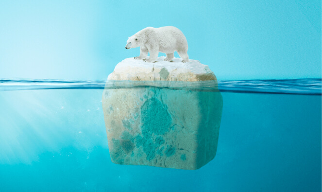 Foodiverse: Our surplus food redistribution platform