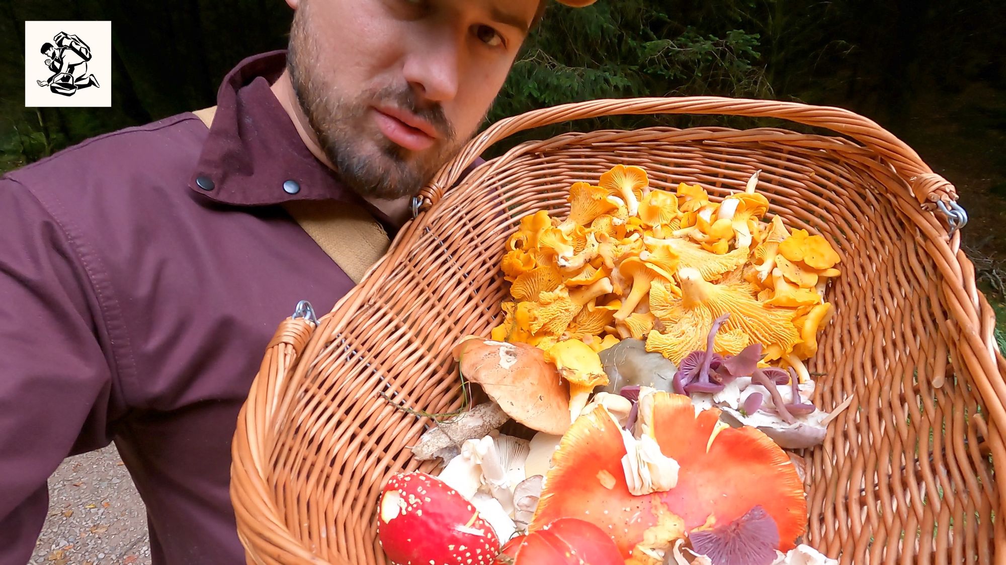 How To Start Foraging For Mushrooms (The Outdoor Guide, September 2025)