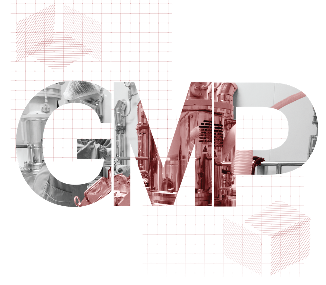 GMP Engineering | Boutique Process Engineering
