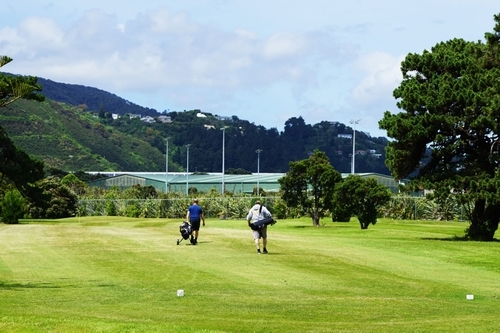 Hutt Park - Golf Wellington