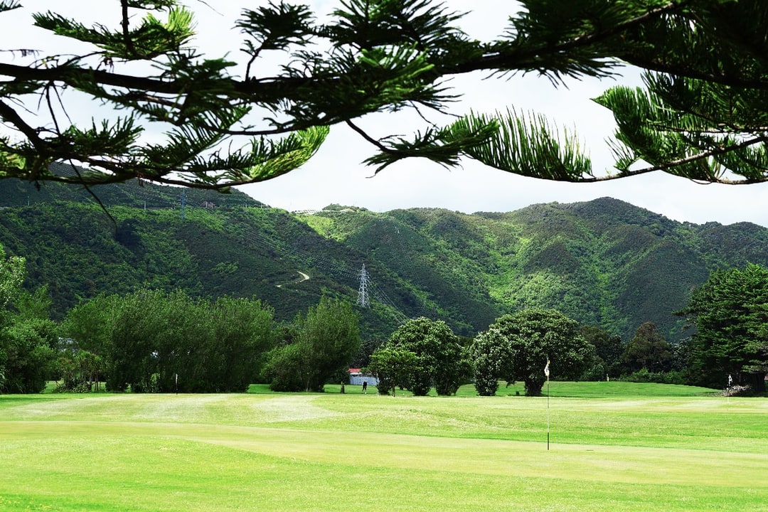 Hutt Park - Golf Wellington