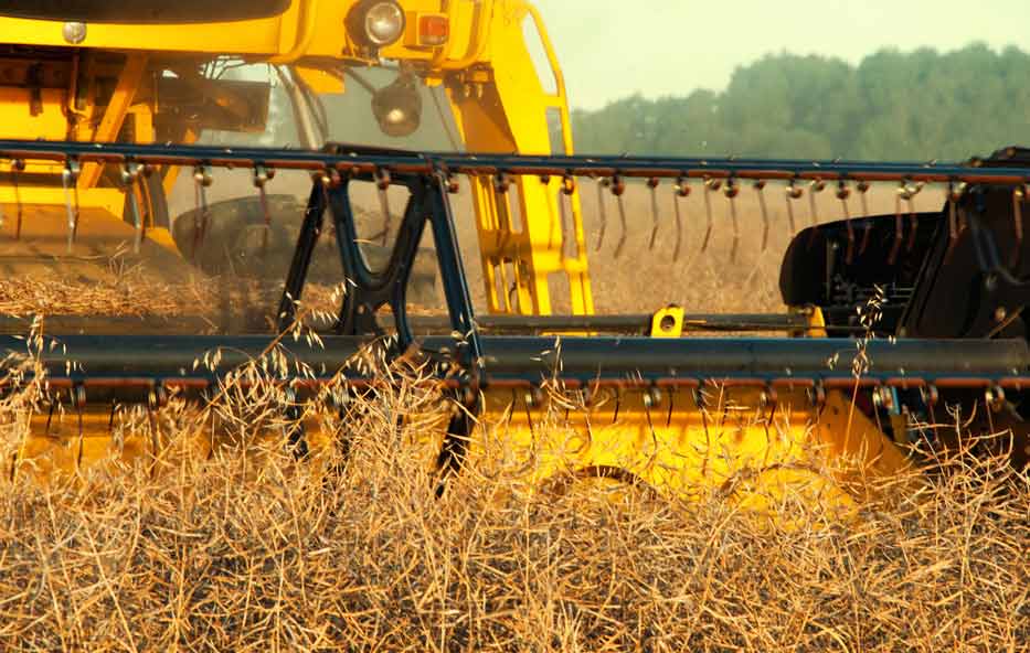 Products | Norvite Specialists in Animal Nutrition