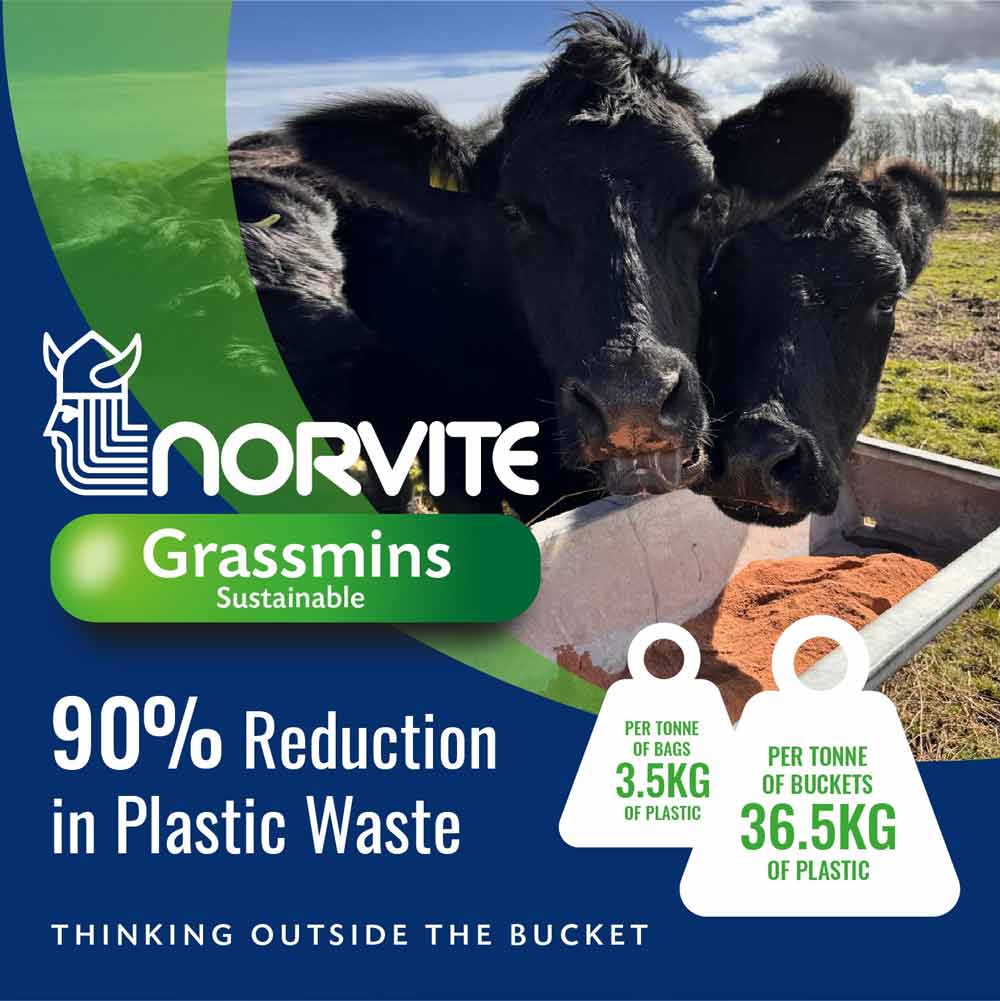 Products | Norvite Specialists in Animal Nutrition