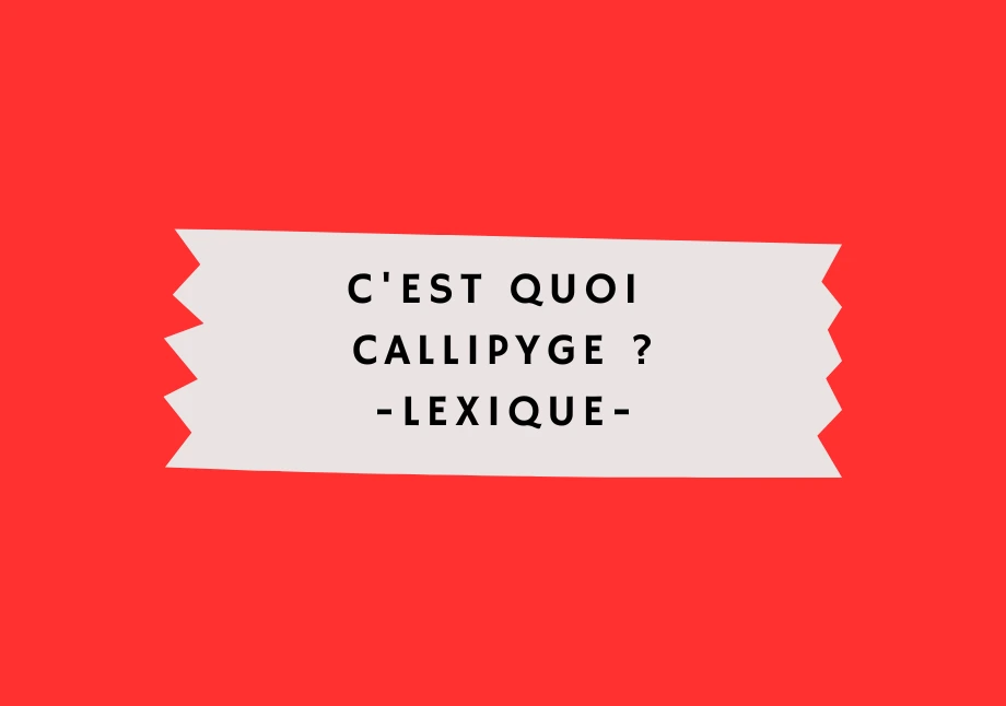 Callipyge - Lexique OrthographIQ