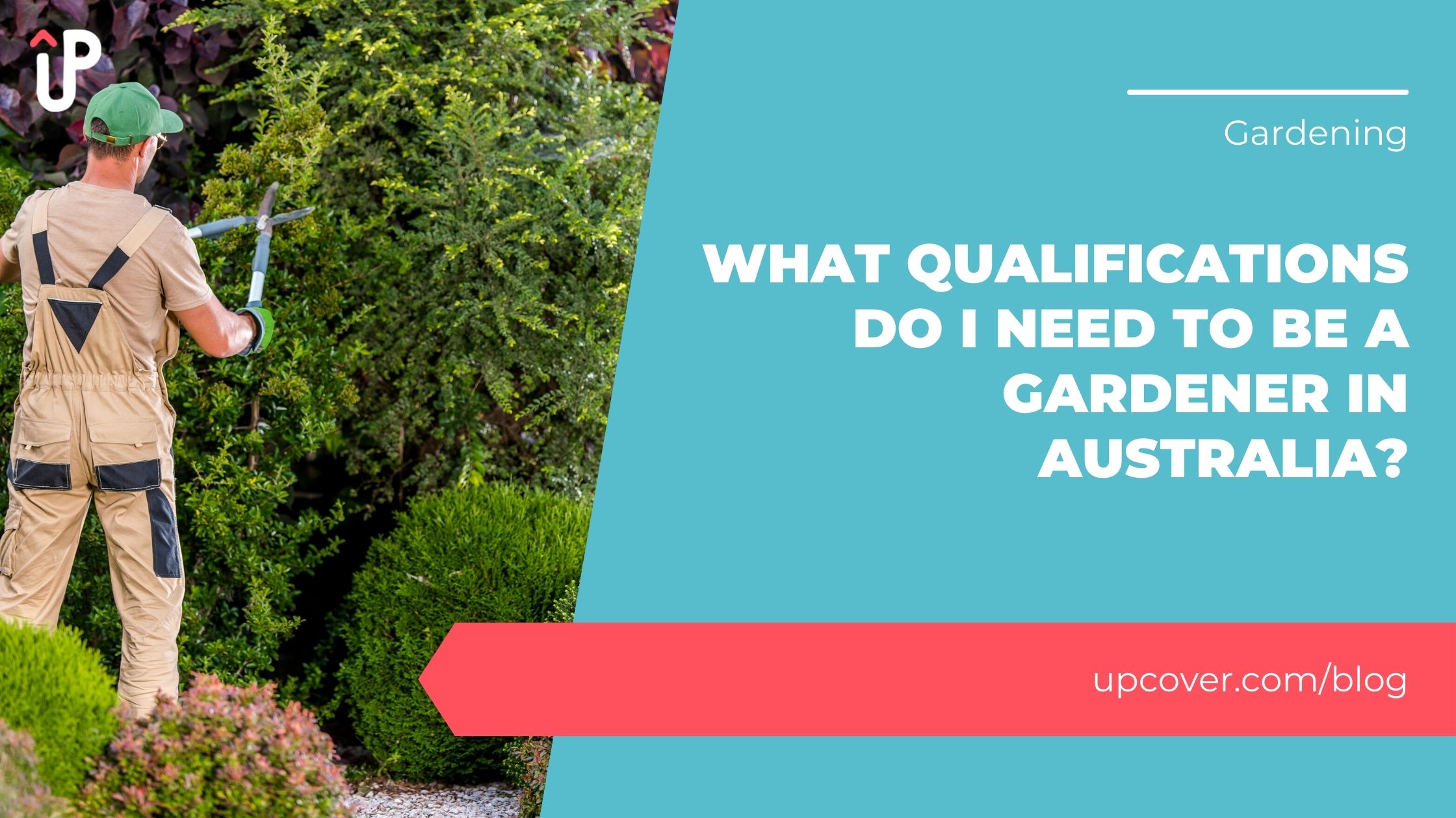 What Qualifications Do I Need To Be A Gardener In Australia? | upcover Blog