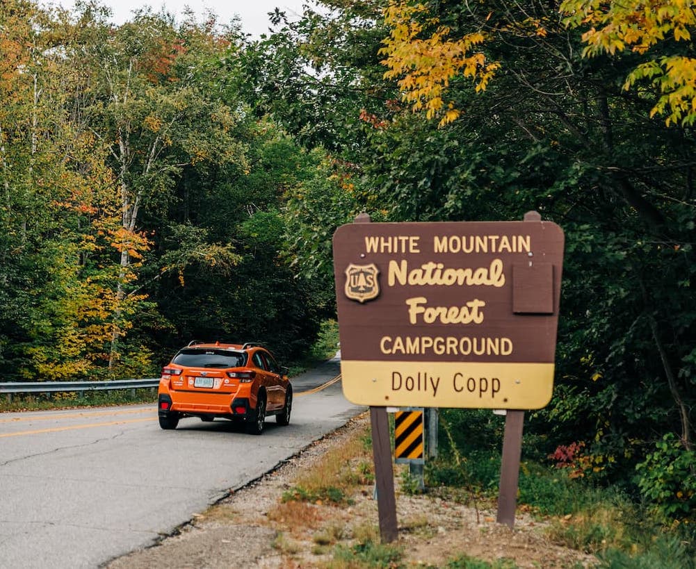 Drive Pinkham Notch | Fall