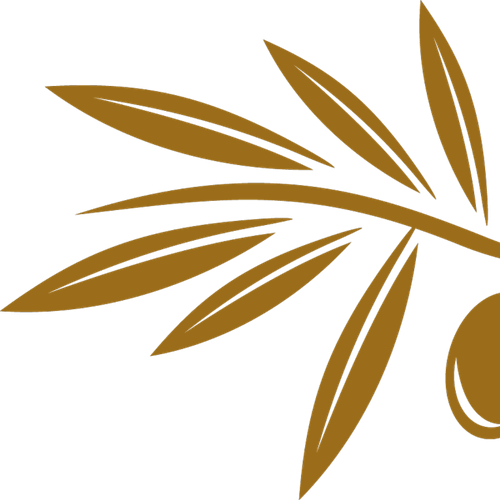 Olive U Grill | Fresh Mediterranean Food & Catering