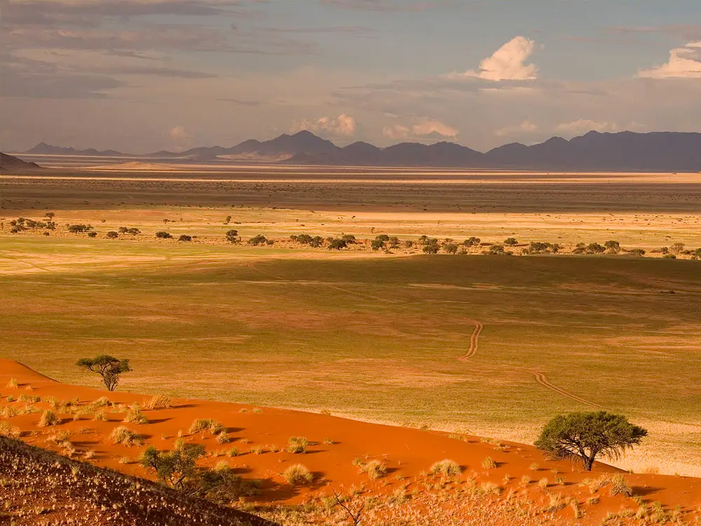 Namibia Highlights Safari | Namibia Tours & Safaris