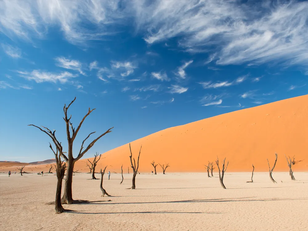 Namibia Highlights Fly-In and Guided Combo | Namibia Tours & Safaris