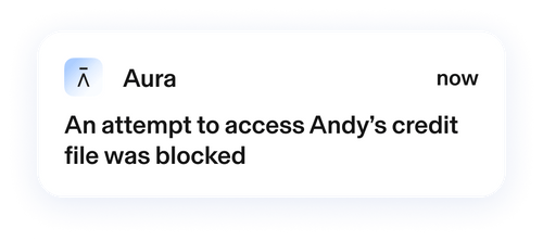 Aura | Intelligent Digital Safety for the Whole Family