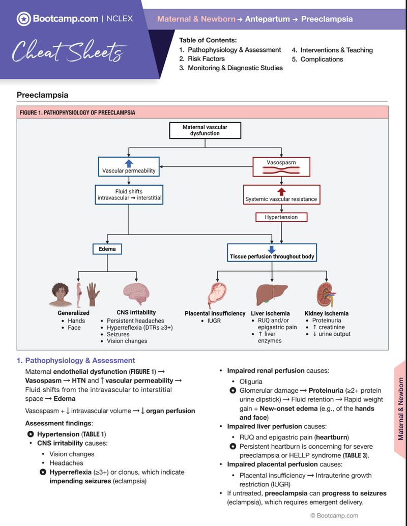 Prioritization Cheat Sheet | NCLEX® Bootcamp