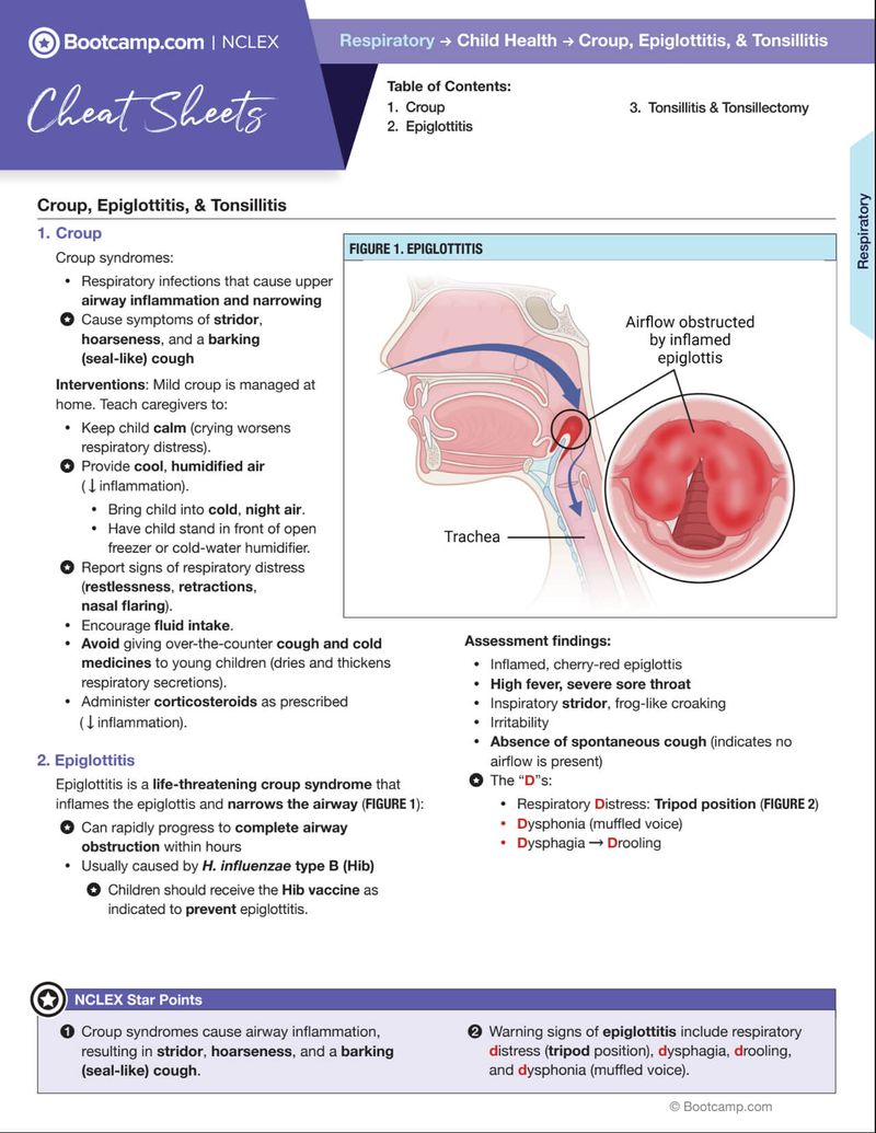 Infection Control Cheat Sheet | NCLEX® Bootcamp