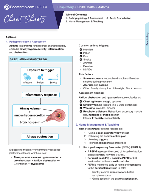 Infection Control Cheat Sheet | NCLEX® Bootcamp