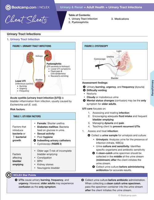 Infection Control Cheat Sheet | NCLEX® Bootcamp