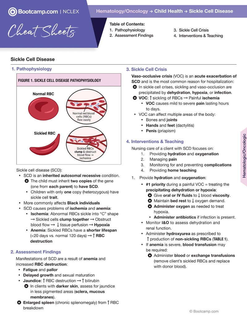 Infection Control Cheat Sheet | NCLEX® Bootcamp