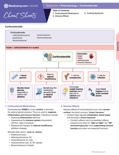 Fluid & Electrolyte Imbalances Cheat Sheet | NCLEX® Bootcamp