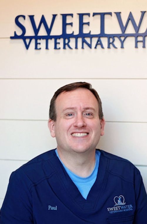 Meet Our Team | Drs. Powell, Stephenson, Gladfelter, and Schiavone