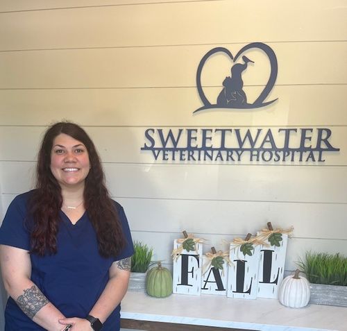 Meet Our Team | Drs. Powell, Stephenson, Gladfelter, and Schiavone