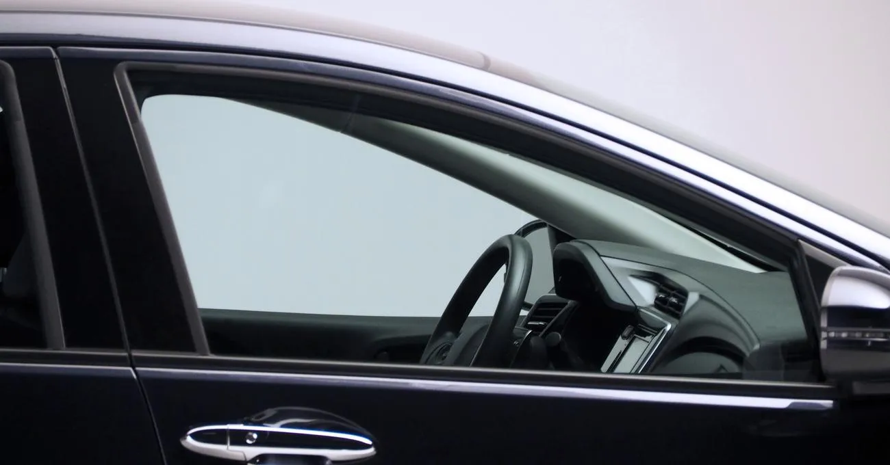 Car Windows Squeaky When Rolled Down? (How To Stop)