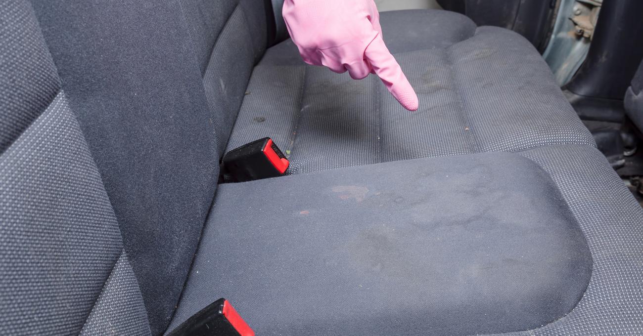 How To Remove Urine Stains And Odors From A Car Seat | CarShtuff
