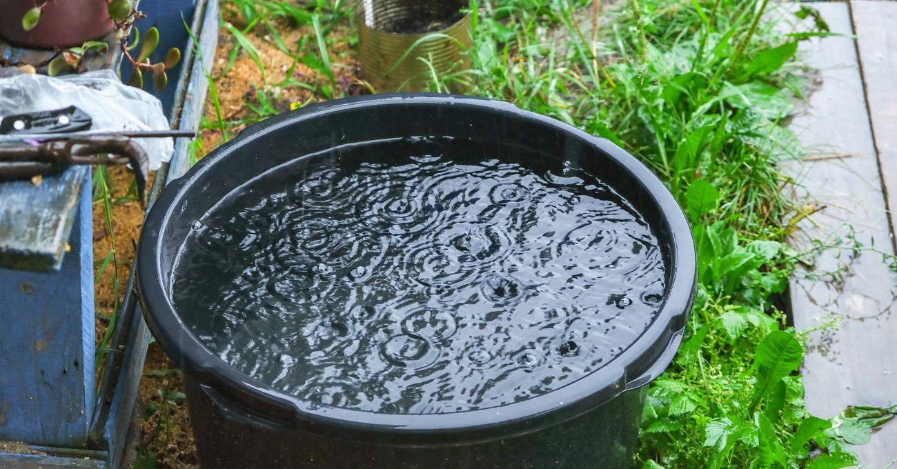 How To Collect Rainwater Without Gutters Or A Roof
