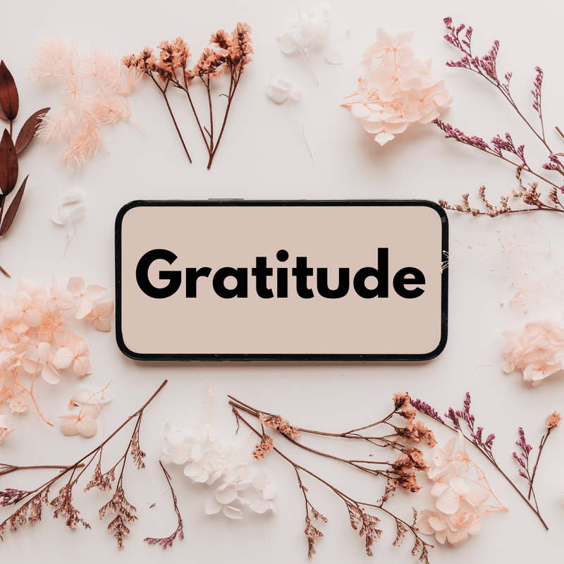 Why Gratitude is the Secret Weapon for Attracting More Opportunities ...