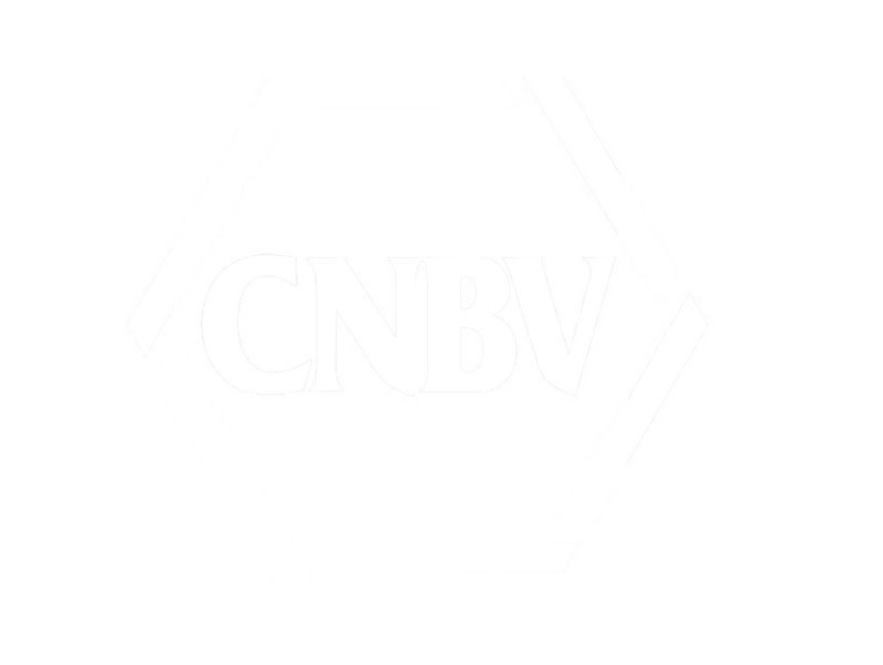 Plan de Vida y Carrera: Qué Es y Cómo Crearlo | Arkangeles