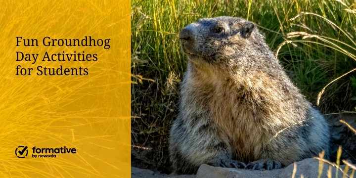 Fun Groundhog Day Activities for Students