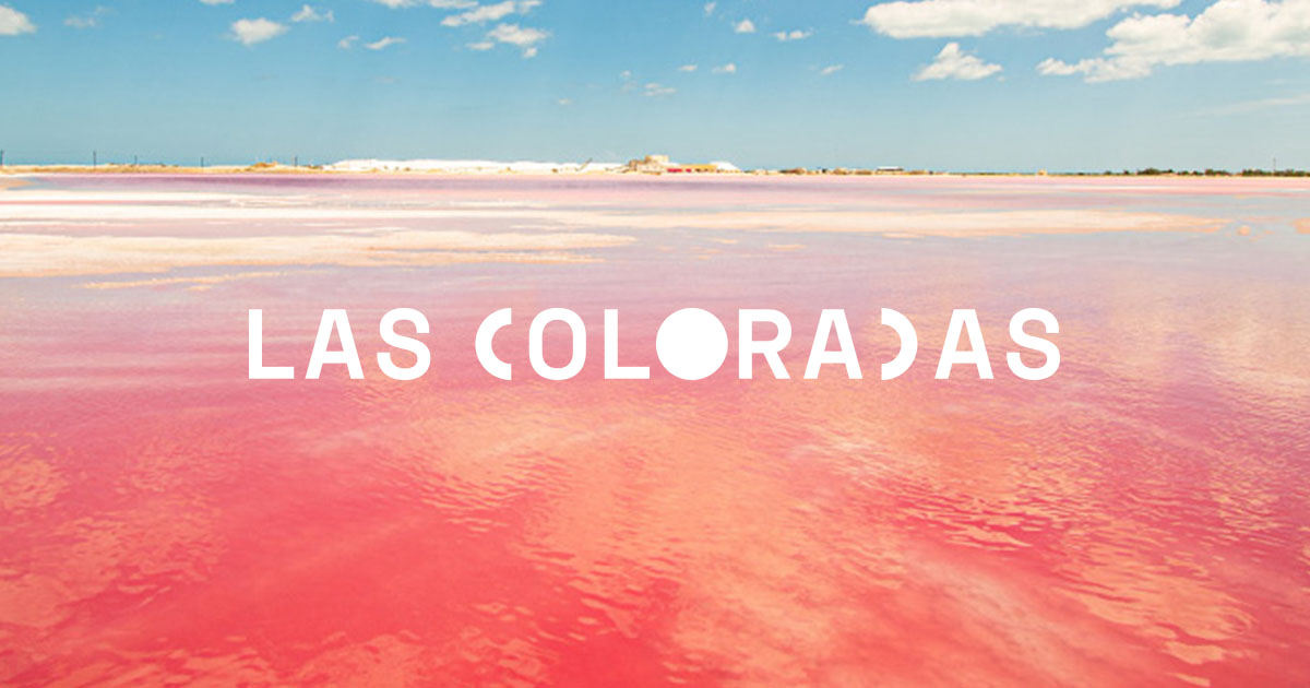 Las Coloradas | Laguna Rosa en Yucatán
