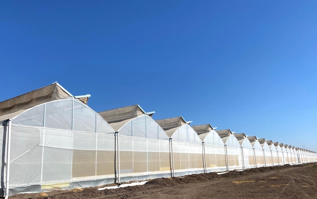 Invermex - Invernaderos