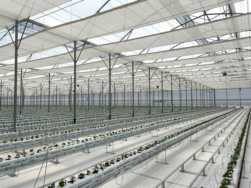 Invermex - Invernaderos