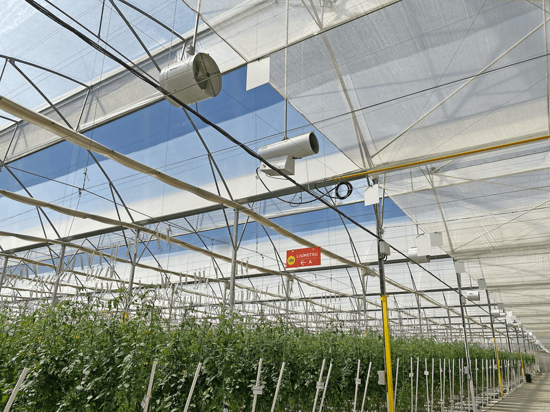 Invermex - Invernaderos