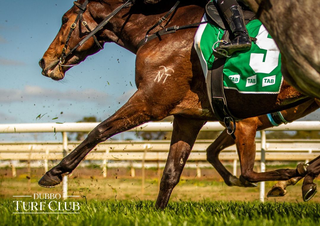 Race Calendar | Dubbo Turf Club