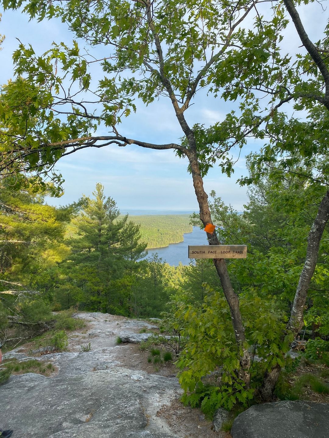 Explore Bald Pate Mountain