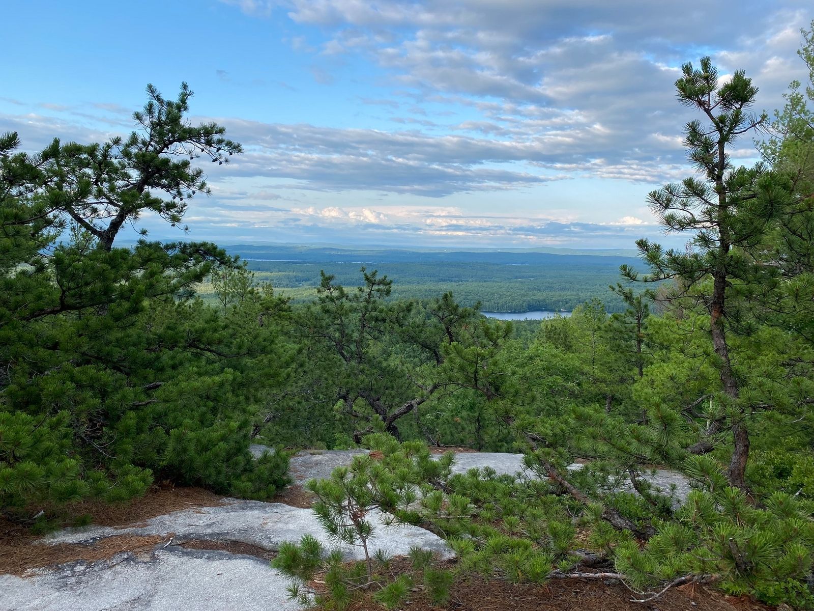 Explore Bald Pate Mountain