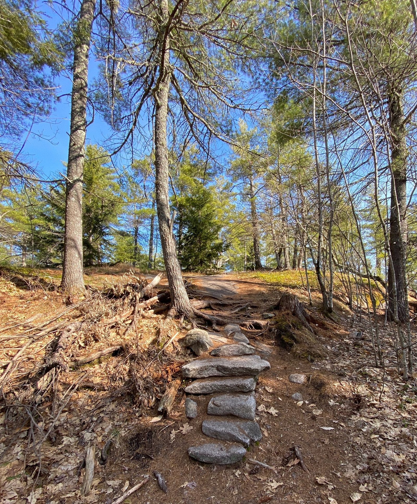 Explore Bald Pate Mountain