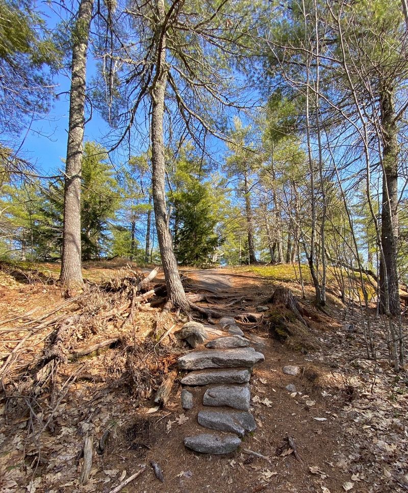 Loon Echo Land Trust: Explore Bald Pate Mountain