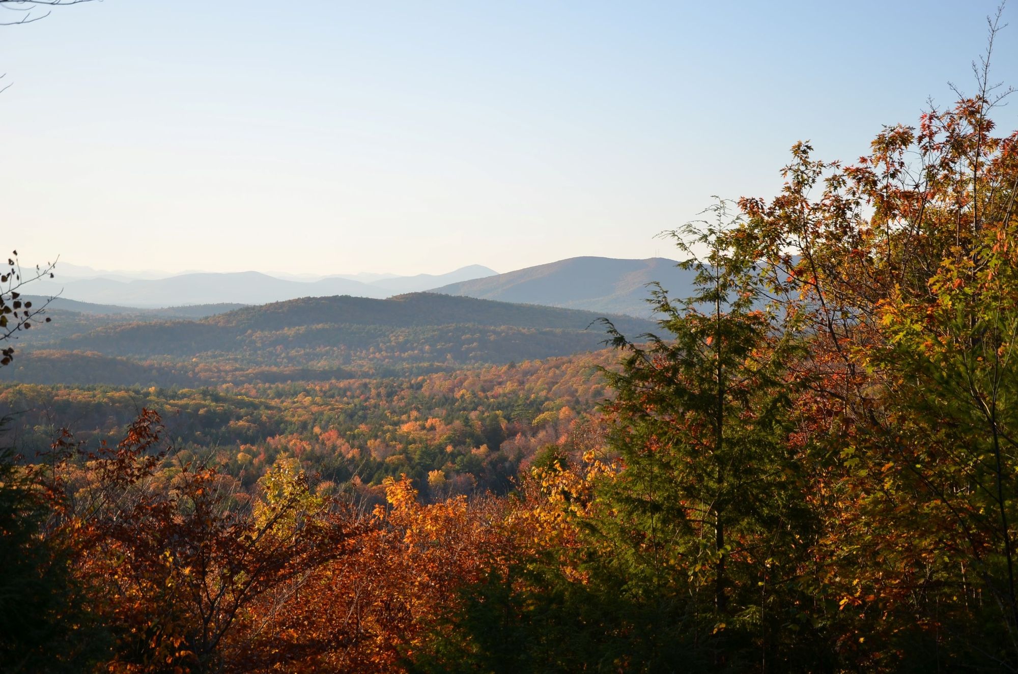 Explore Bald Pate Mountain