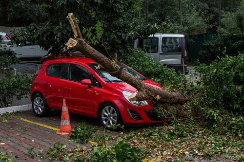 What Is a Statutory Write-Off, and What Are Your Options?